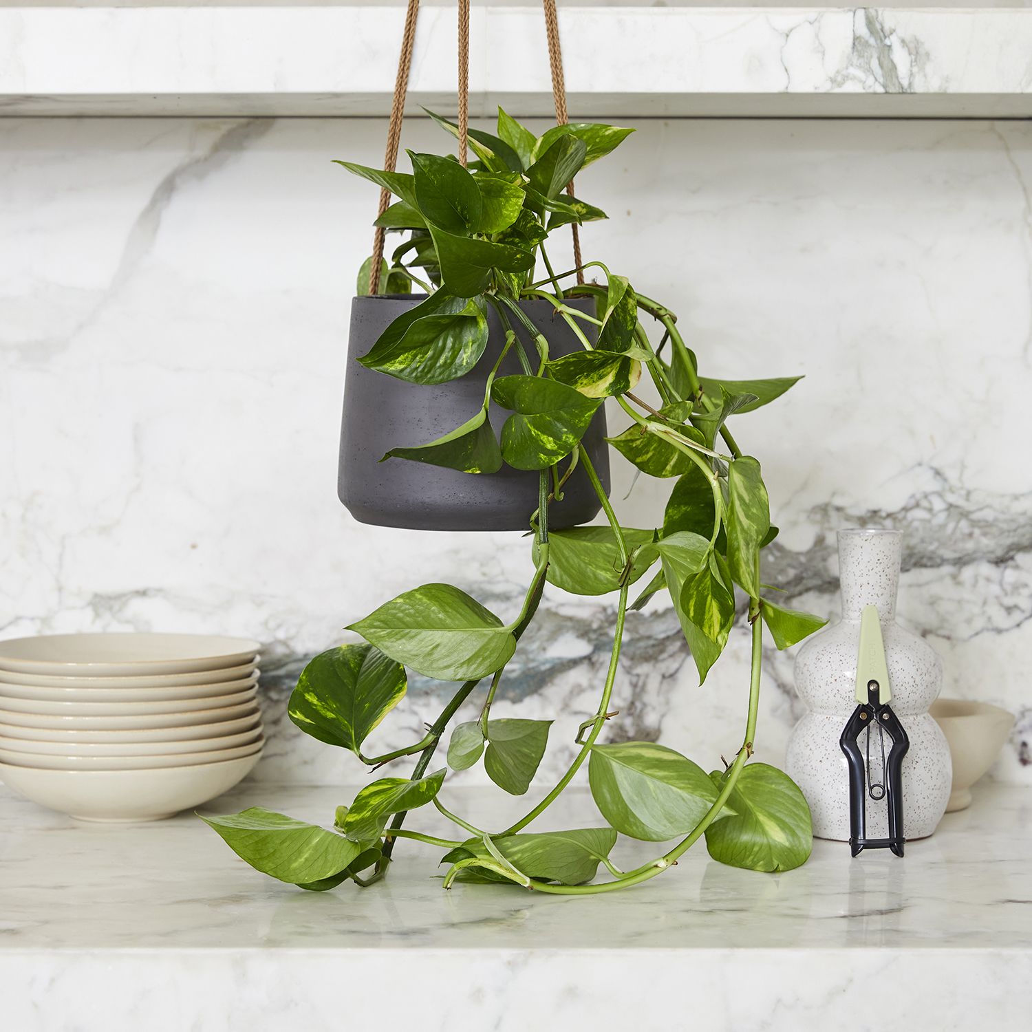 Rapunzel Pot & Secateurs Set | Patch