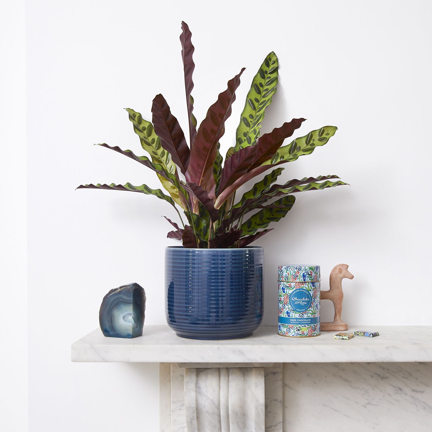 Jesse Pot & Chocolates Gift Set | Patch